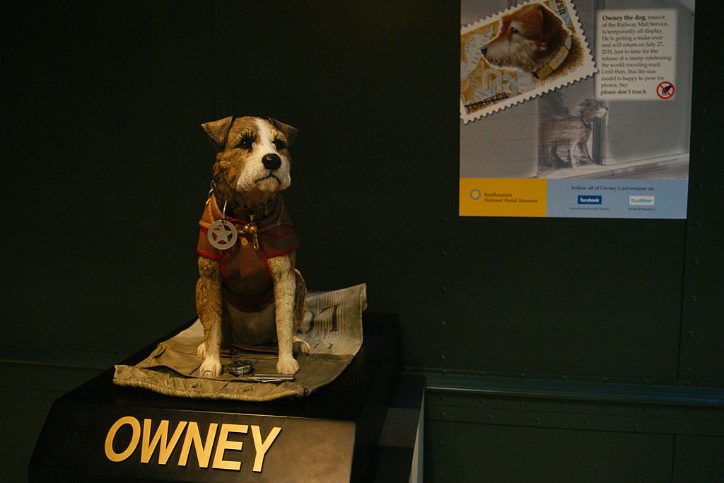 Owney, The Post Office Pooch Who Traveled Around The World And Earned ...