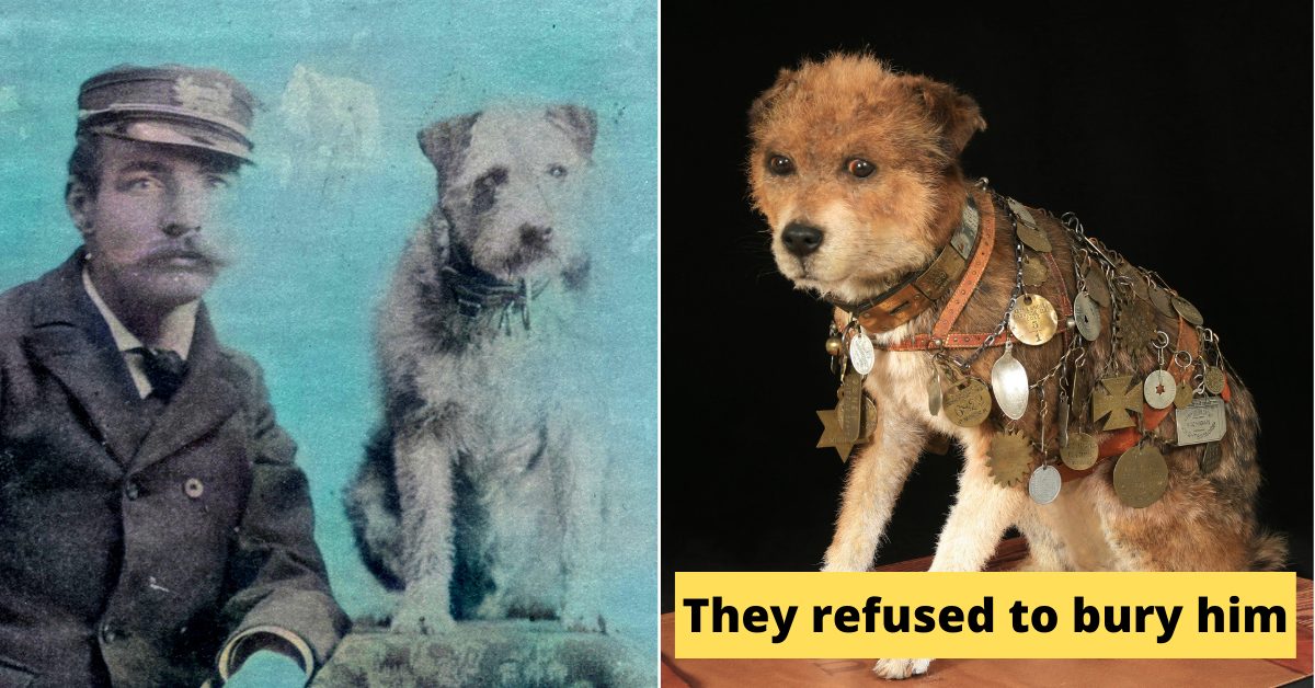 Owney, The Post Office Pooch Who Traveled Around The World And Earned ...