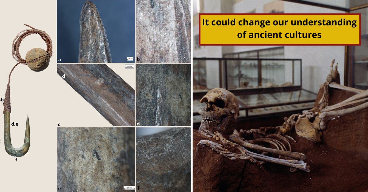 Discovery of Ancient Fishing Technology One of the Largest Collections ...