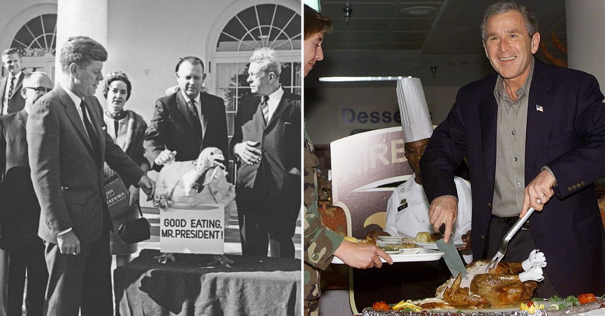 What Happens To All Those Thanksgiving Turkeys That Are Pardoned? | The ...