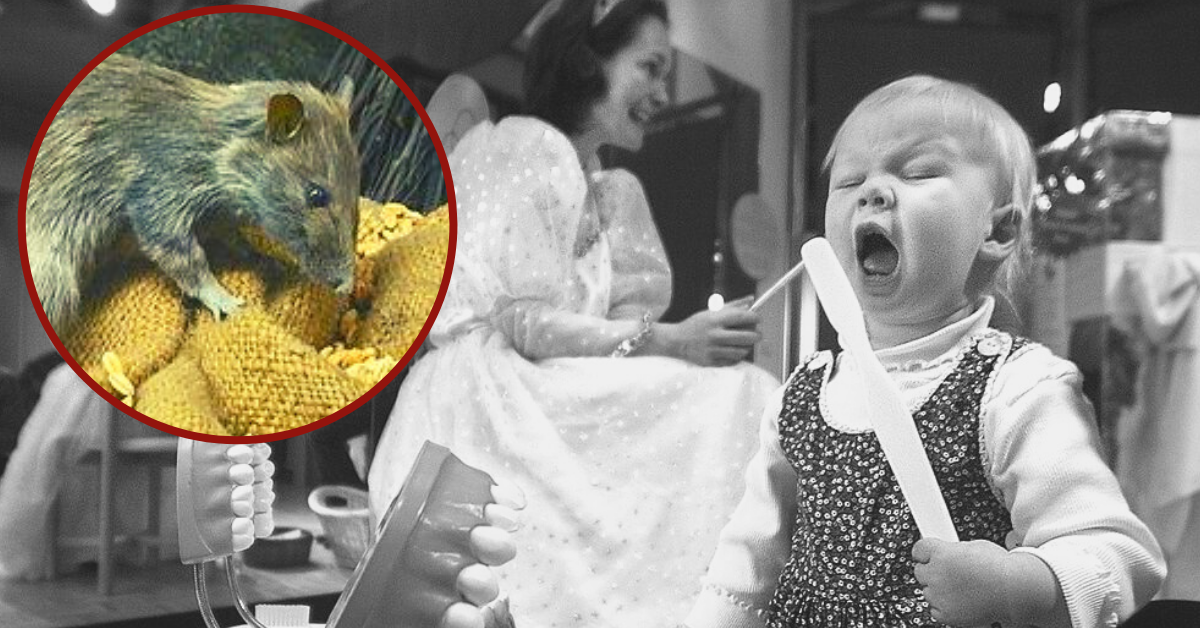 15 Mildly Terrifying Facts About the Tooth Fairy - She's a Rat in Some ...