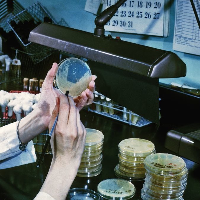 The First Bioterror Attack on US Soil was Caused by... Salads | The ...