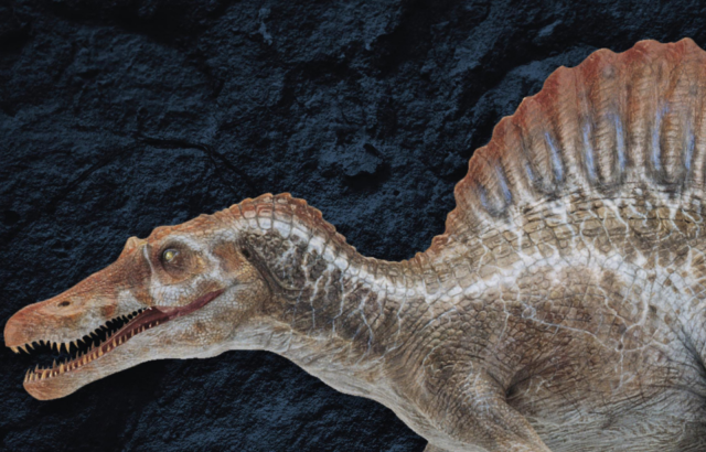 Historical Artifacts, Historical Archaeology & Vintage Finds | Archives ...