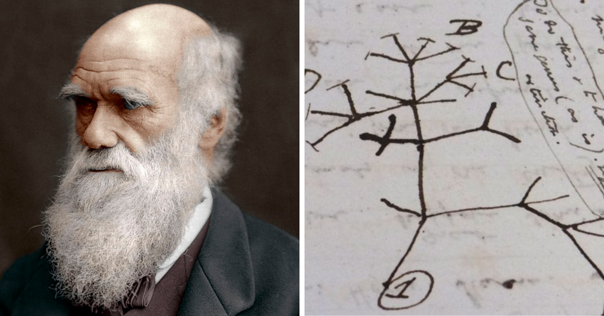 Charles Darwin's Stolen Notebooks Returned After More Than 20 Years