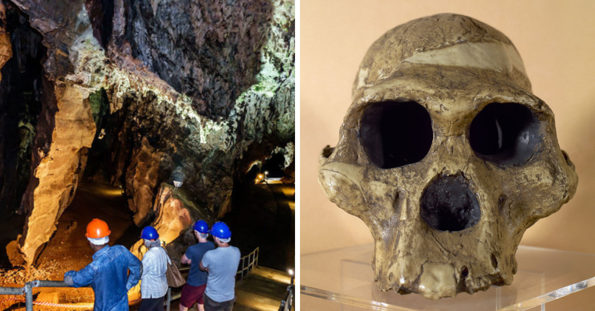 Our Early Human Ancestors Were One Million Years Older Than We ...