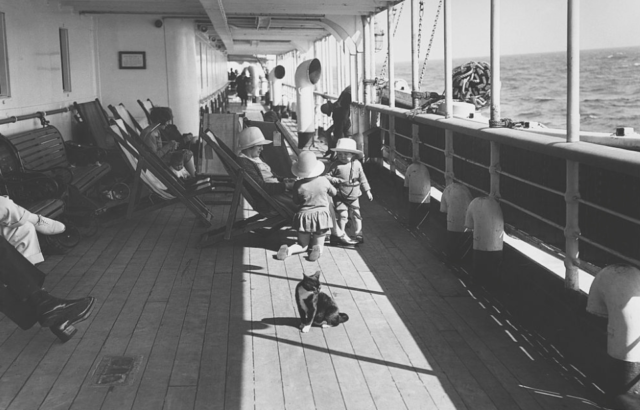 Did Jenny, the Cat Onboard the Titanic, Predict the Ship's sinking ...
