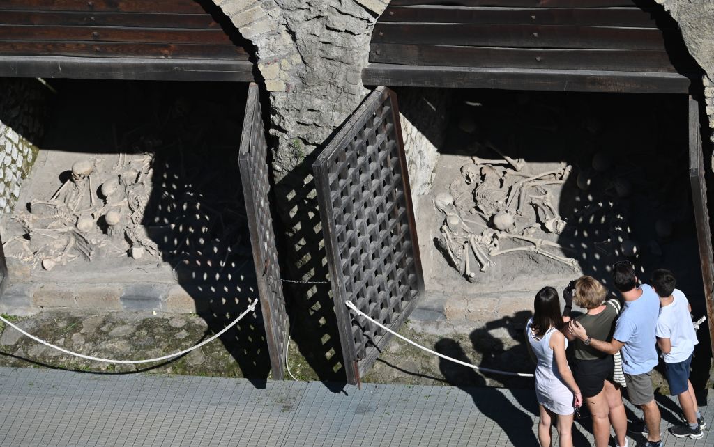 Almost 2,000 Years Later, Scientists Have Sequenced a Vesuvius Victim's ...