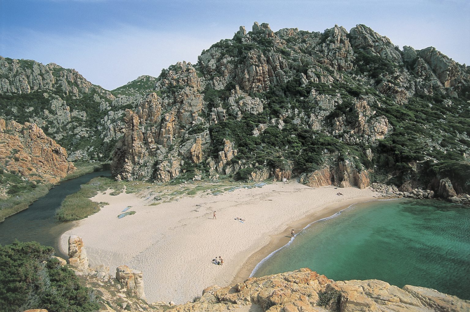 Casu Marzu, the Maggot-Infested Cheese Delicacy