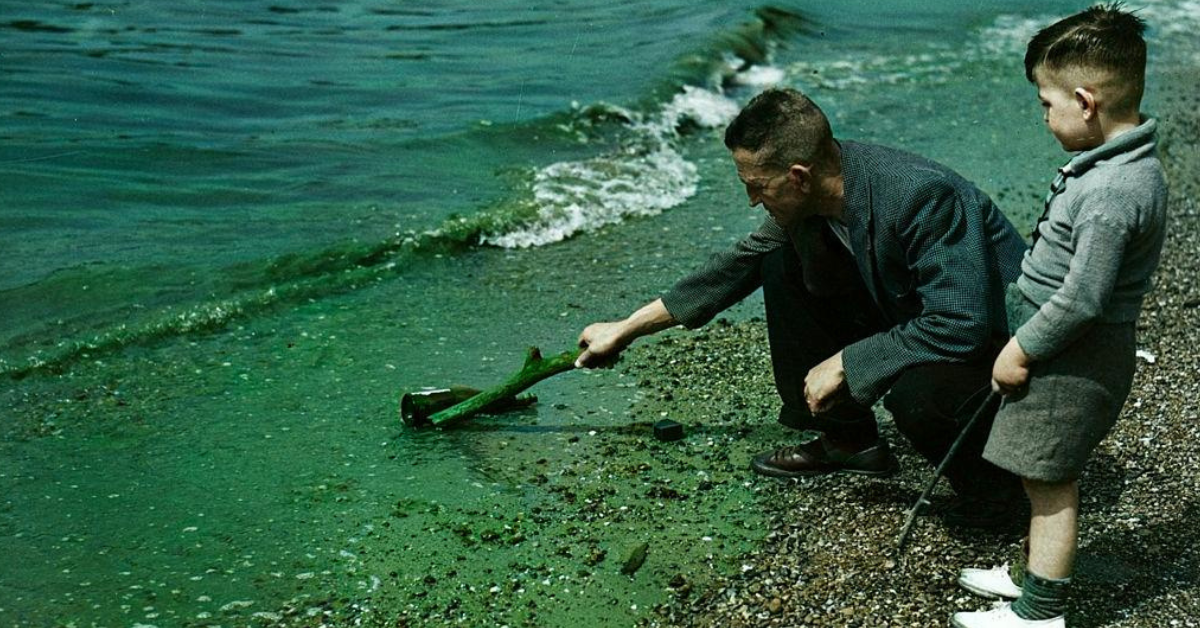 Titanic Bodies Washed Ashore