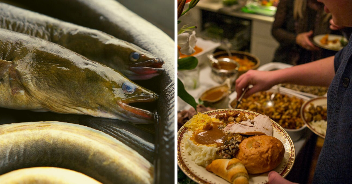 How Eels Almost Became the Thanksgiving Main Dish | The Vintage News