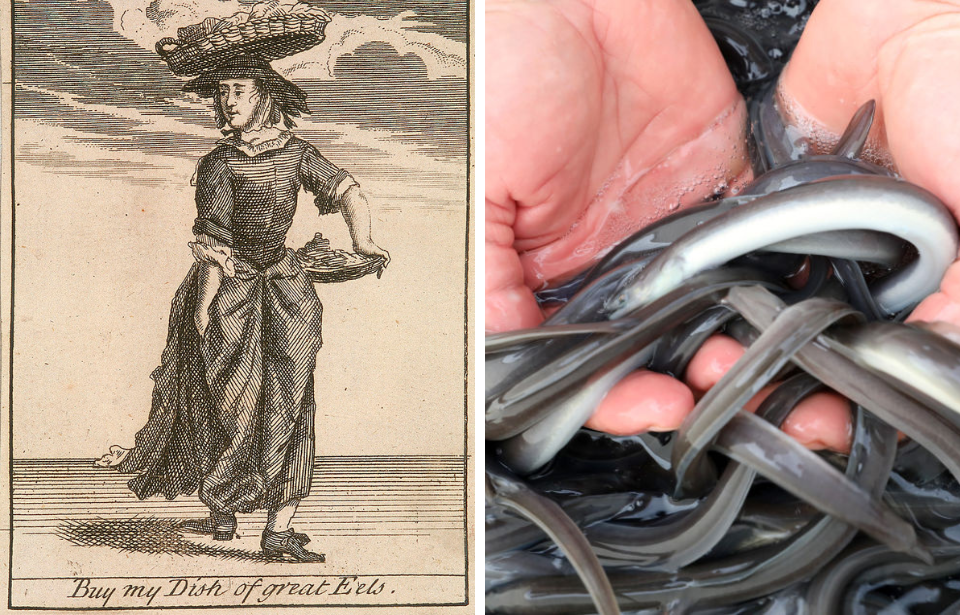A Colonial Dinner Party: 11 Strange Things Colonial People Actually Ate ...