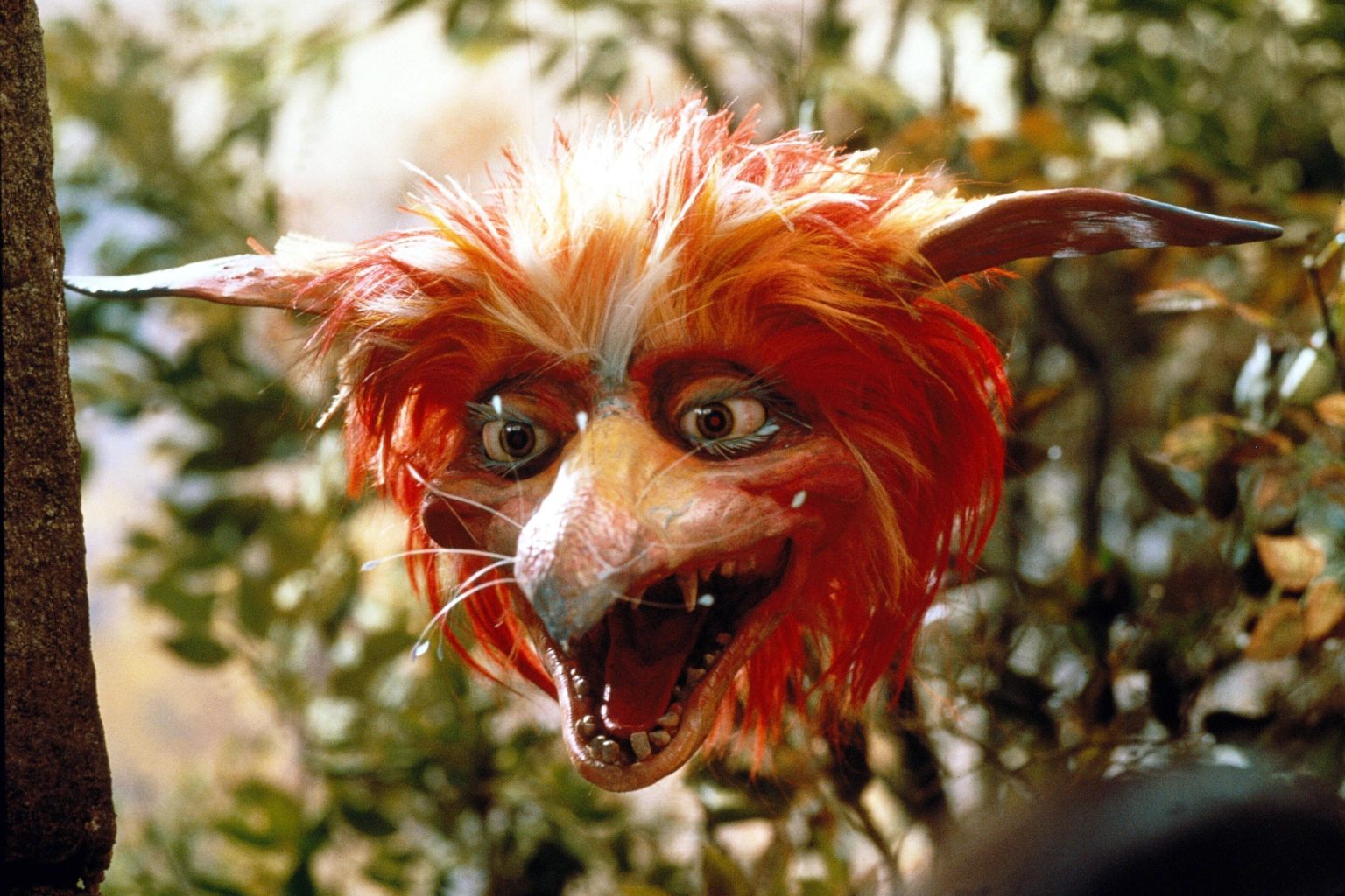 Why Our Obsession With The Movie 'Labyrinth' Continues Decades Later ...