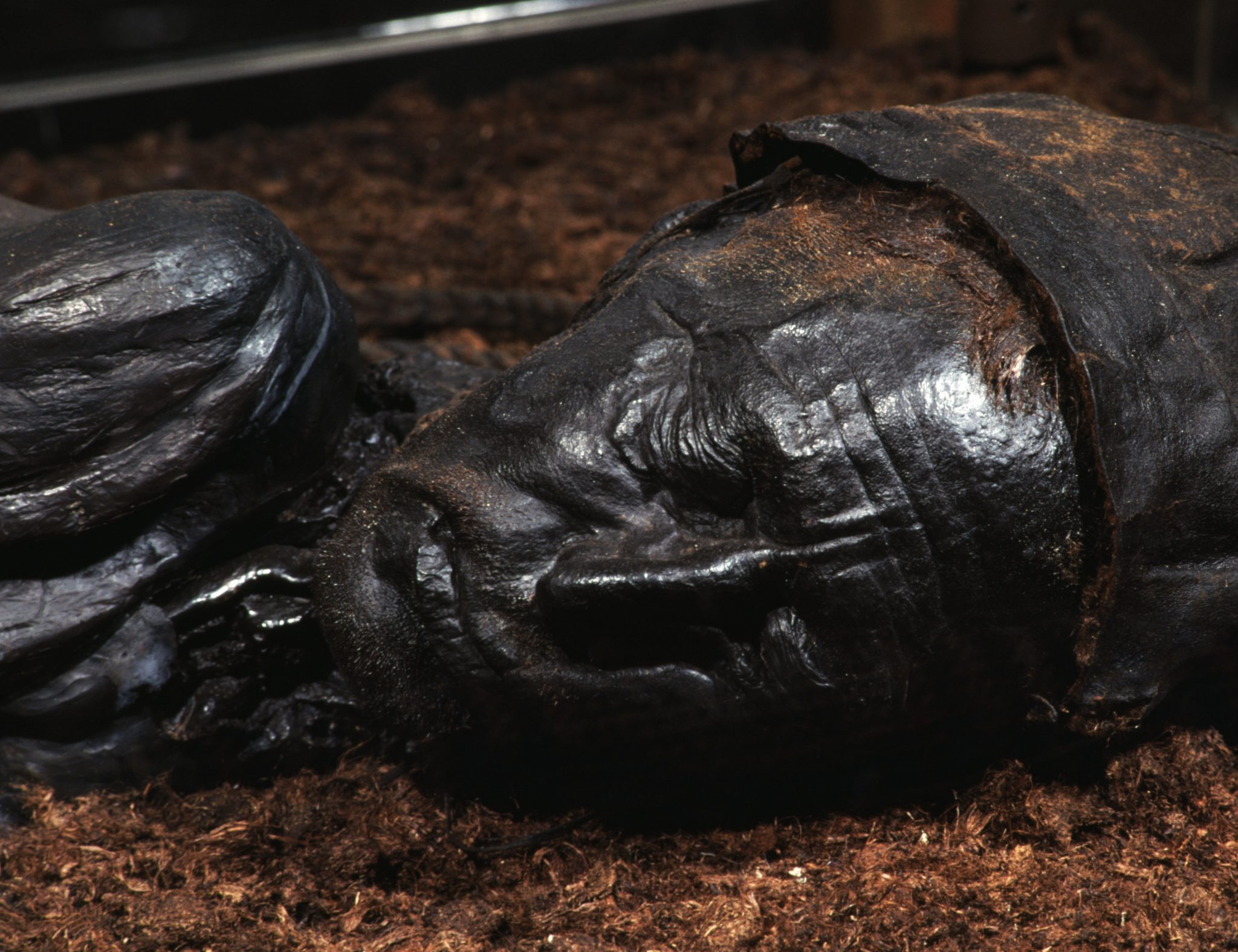 Perfectly Preserved 'Bog Bodies' Reveal Their Brutal Secrets After ...