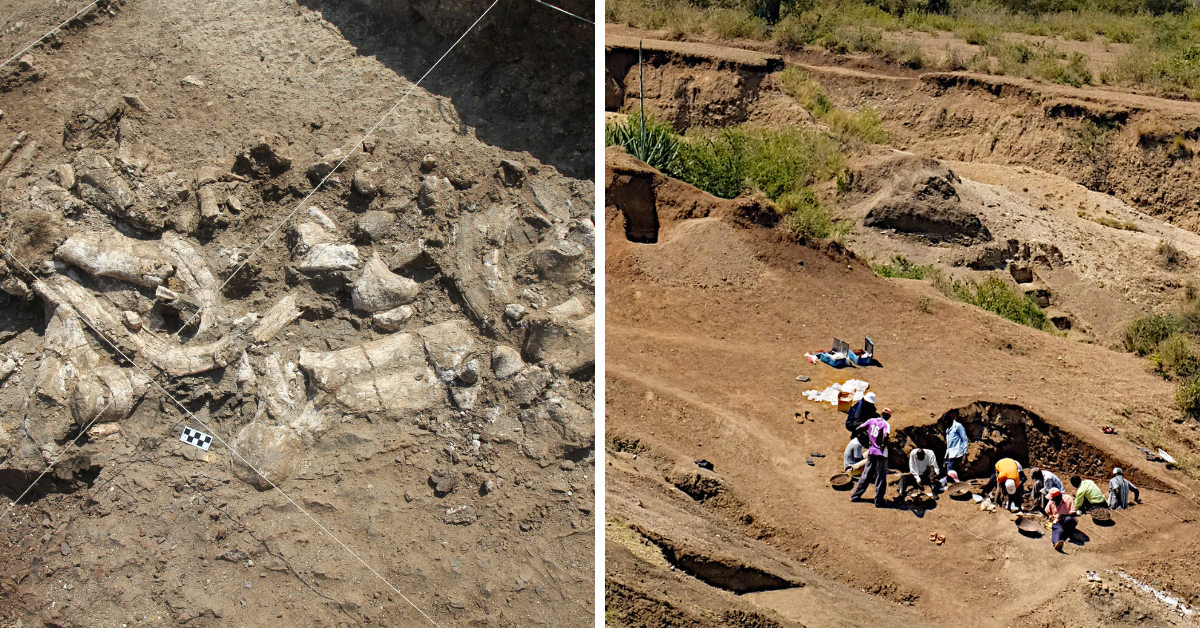 Groundbreaking 'Butcher Site' Puts Crafted Weaponry Into Question | The ...