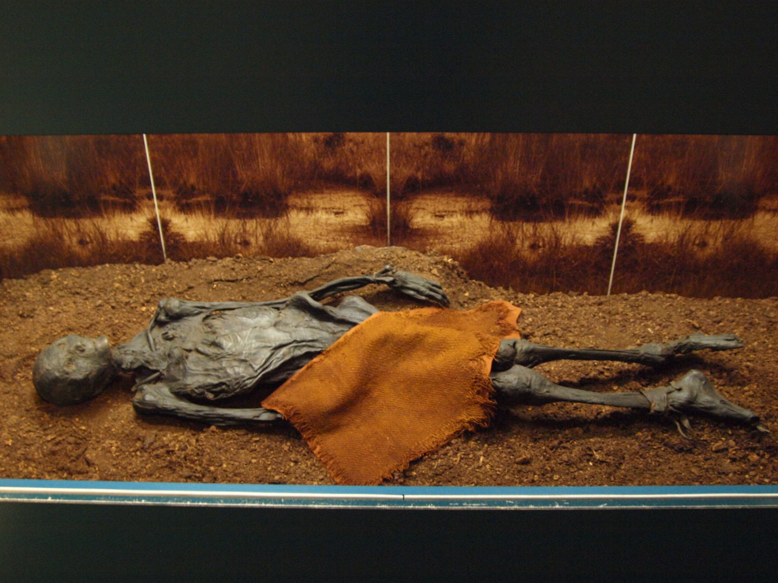 Perfectly Preserved 'Bog Bodies' Reveal Their Brutal Secrets After ...