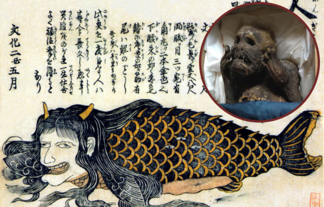 Historical Artifacts, Historical Archaeology & Vintage Finds | Archives ...