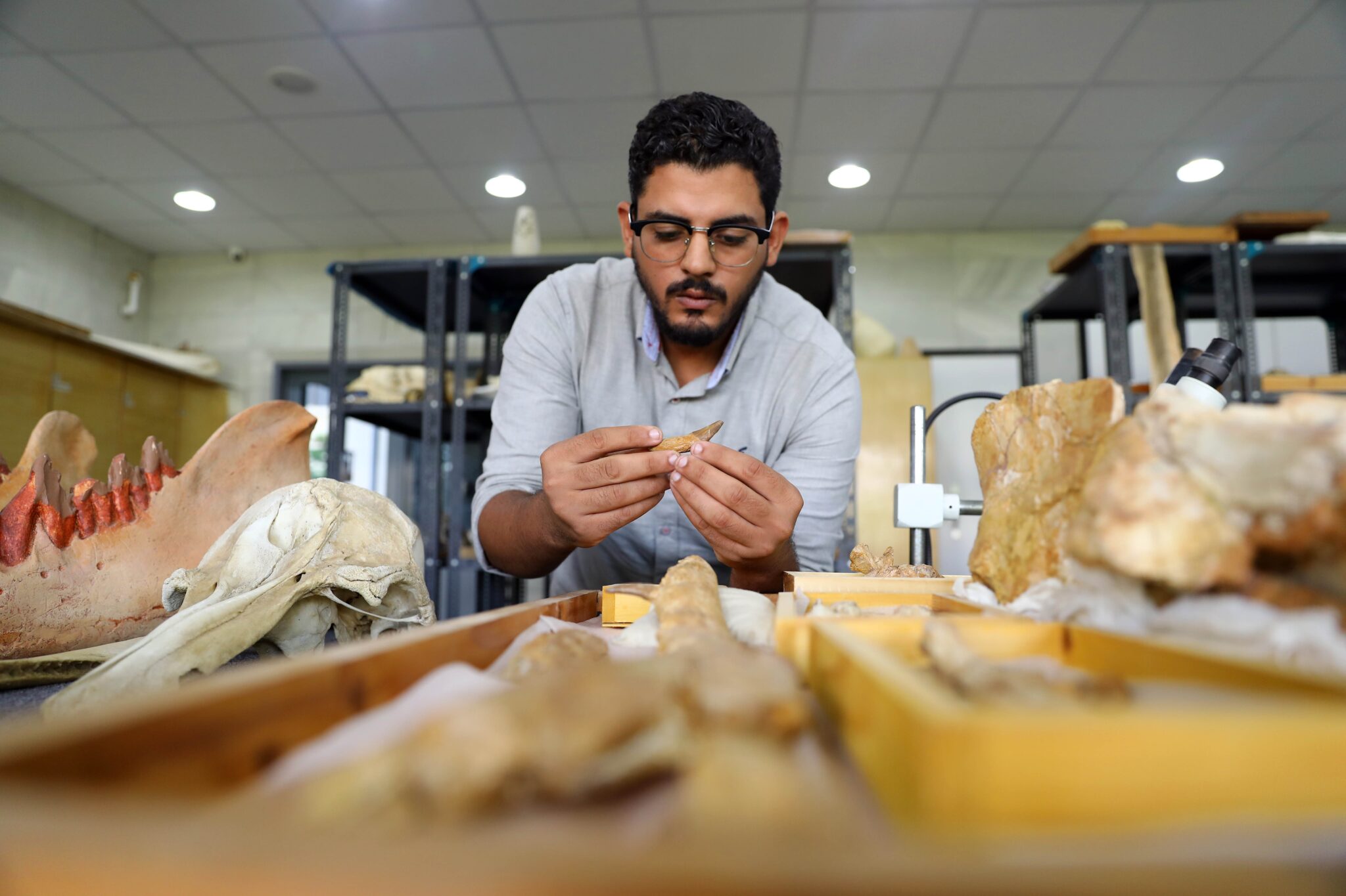 This Four-Legged, Land-Hunting Whale Nicknamed the 'God of Death' Used ...