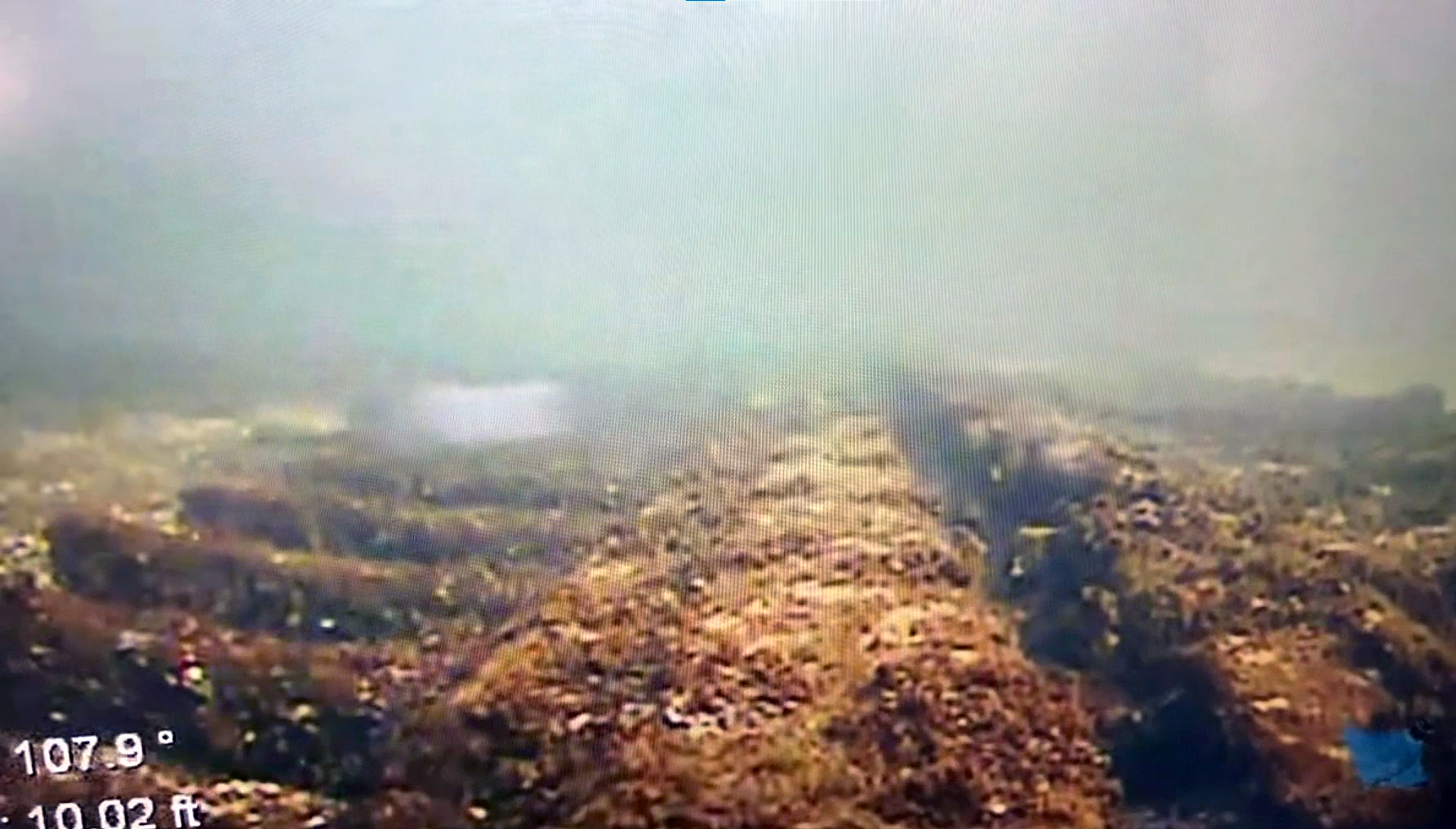 A Father and Daughter Just Discovered a 152-Year-Old Shipwreck While ...