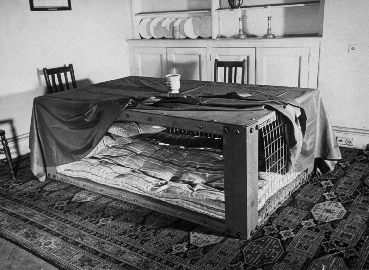 Bizarre and Unusual Inventions From the Past | The Vintage News