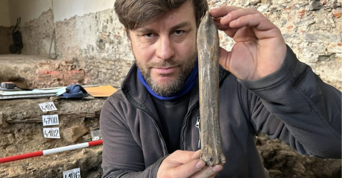 Archaeologists Discover 1,000-Year-Old Ice Skate Made From Animal Bone ...